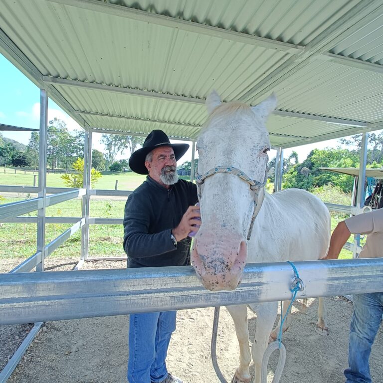 Gallery | Adapt SUPPORT