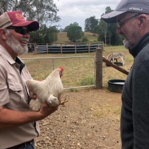 Gallery Adapt Support